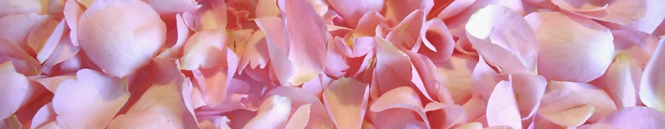 Rose Petals for Elegant Floral Designs — Corsage Creations