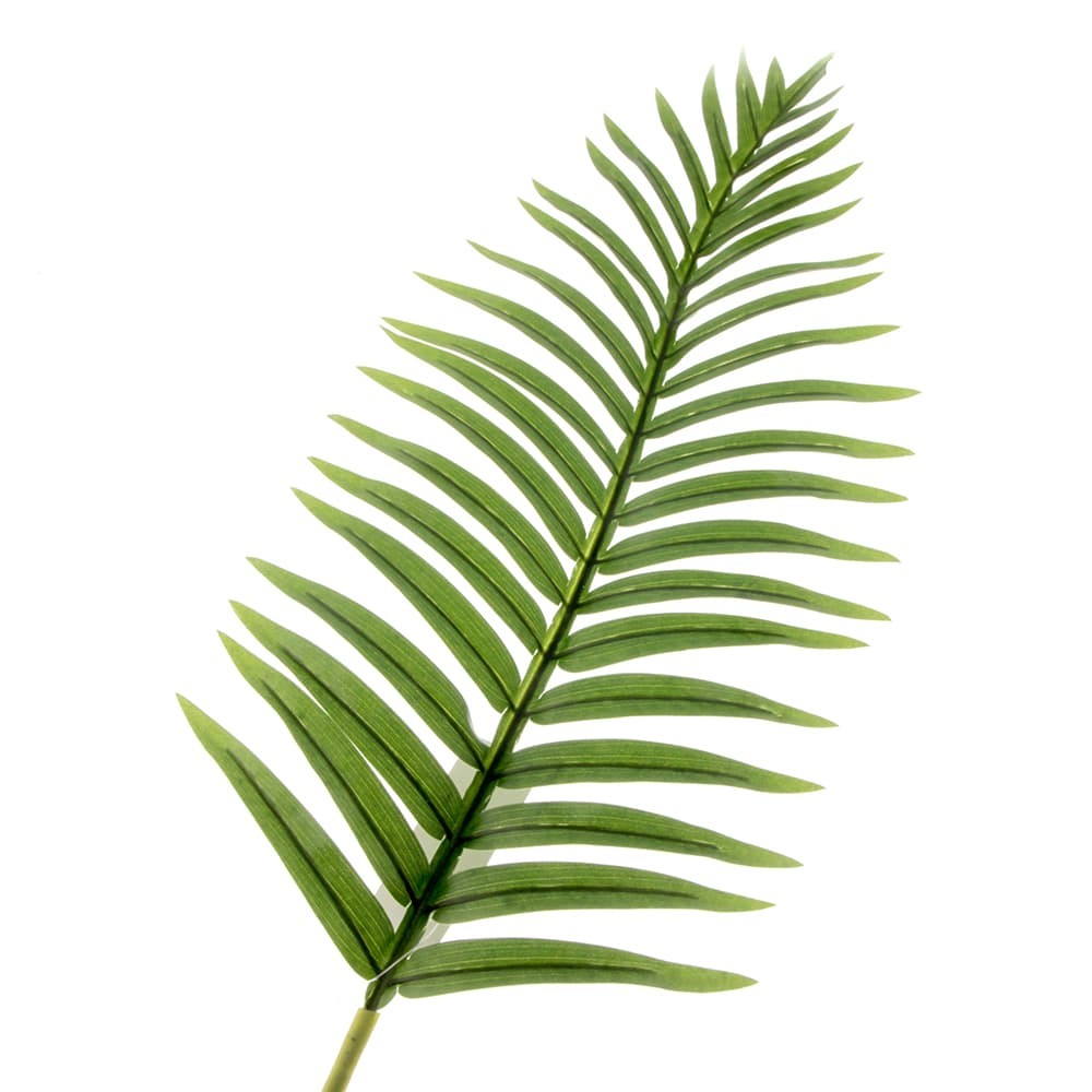 Real Touch Fern Palm Leaf - Green (108cm long) — Corsage Creations