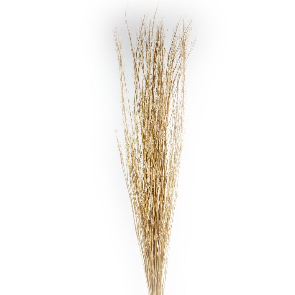 Mustard Grass - Natural (1m tall, 100g) - Corsage Creations