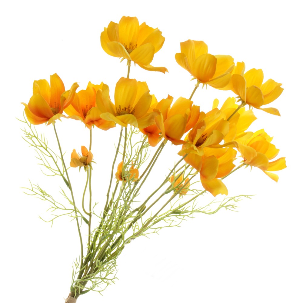 Coreopsis Bundle - Yellow (3 stems, 62cm long) — Corsage Creations