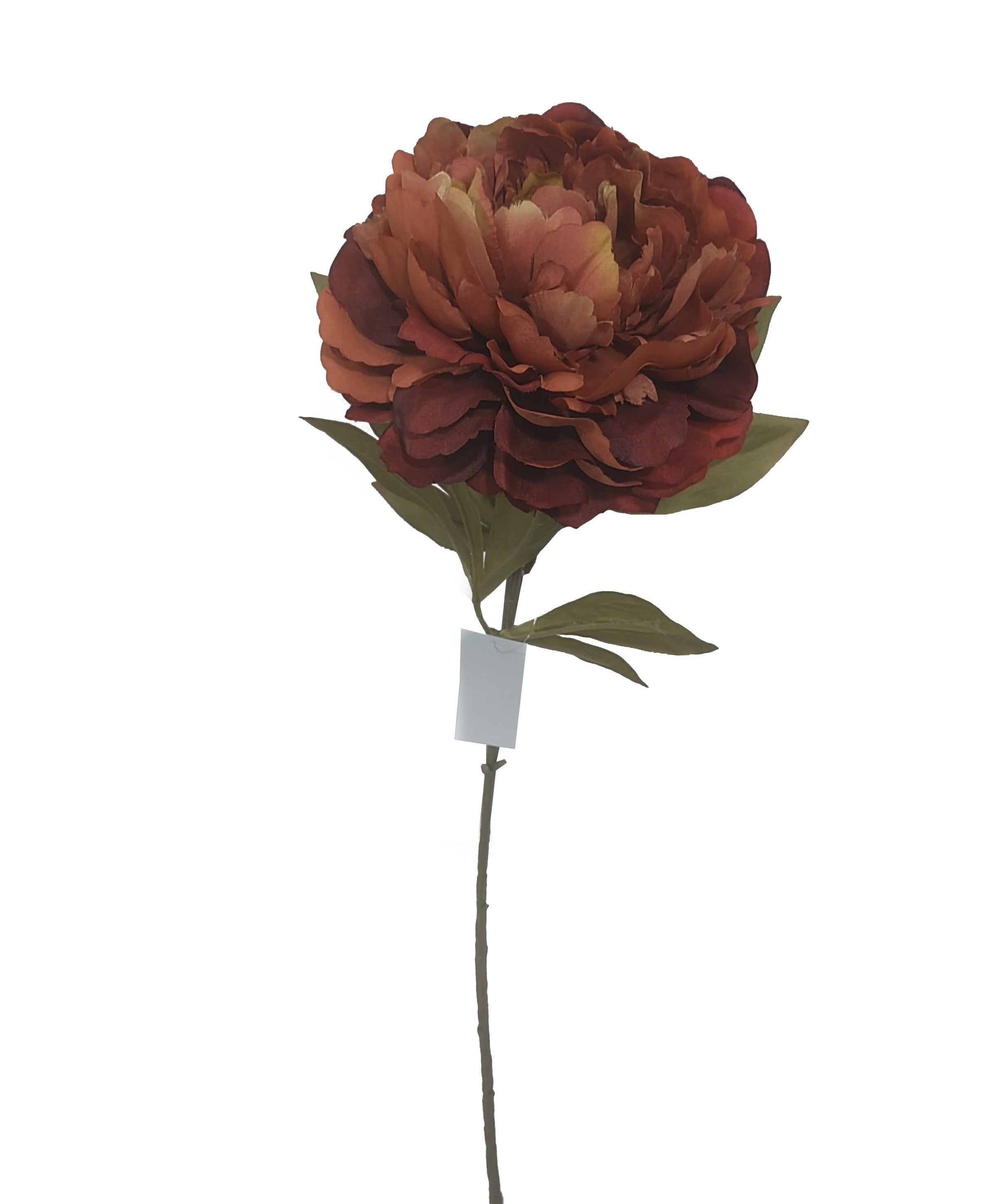 Single Peony - Deep Red (16cm diameter, 78cm long) — Corsage Creations