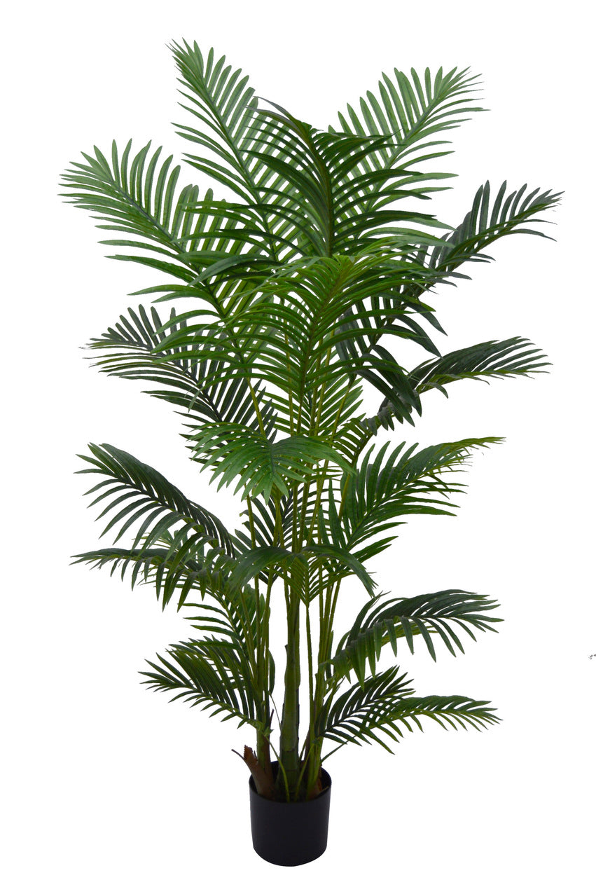 Artificial Real Touch Palm Tree - Green (180cm long with 23 fronds) — Corsage Creations