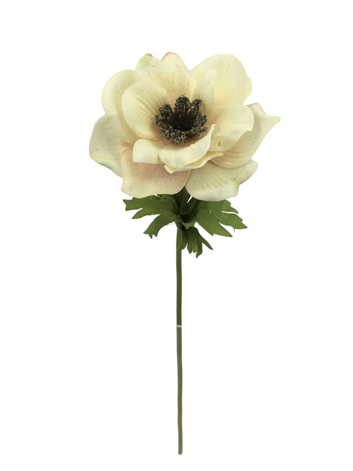 Single Velvet Anemone - Cream (42.5cm long) — Corsage Creations