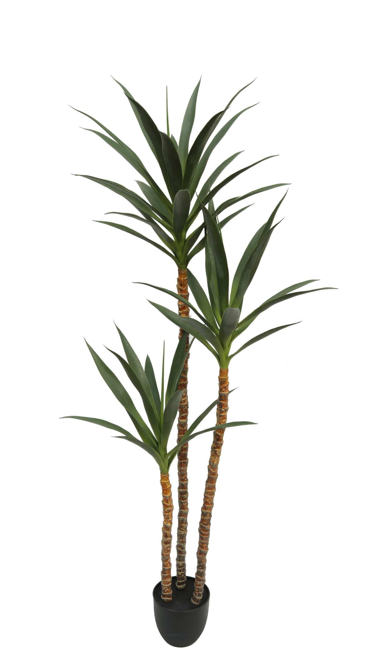 Artificial Yucca Tree in pot - Natural (UV protected, 3 heads, 168cm t ...